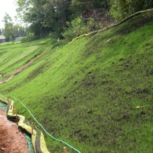 Vegetated Compost Erosion Control Blanket | SPVSoils | San Pasqual ...